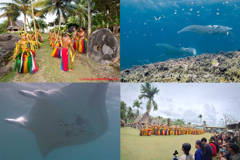 Yap Dive Season | Manta Ray Bay Resort | Exclusive Diving at its Finest ...